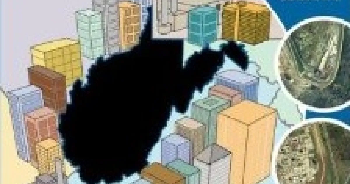 Why Capitalism Works | Mercatus Center